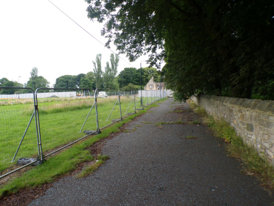 Tree Protection Fencing - Rethync